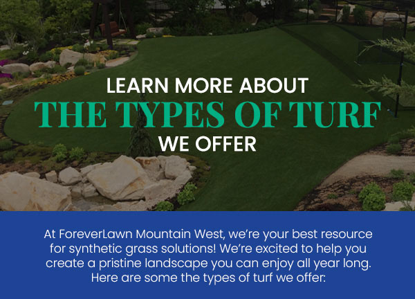 Learn More About the Types of Turf We Offer